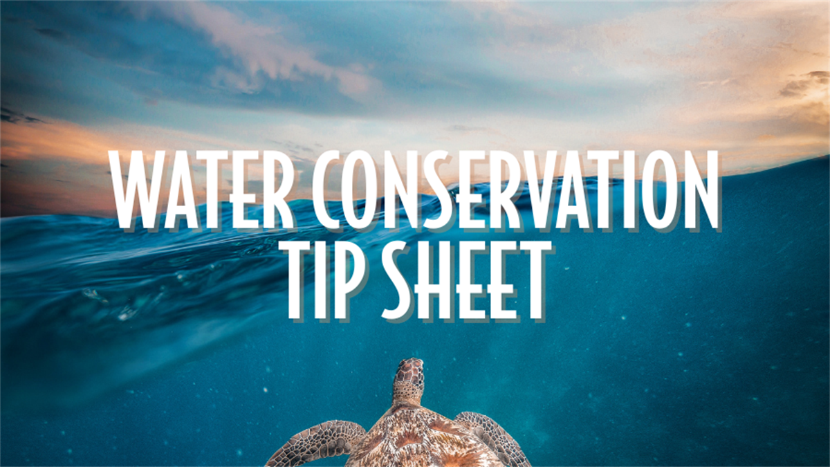 Water Conservation Tip Sheet | City of Molalla, OR